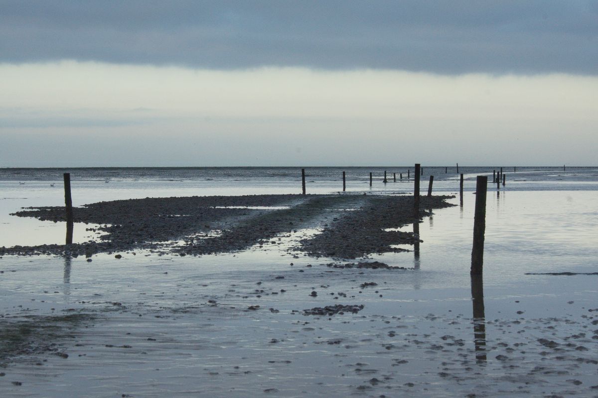 Urlaub an Nordsee - Nordstrand - Nordstrand